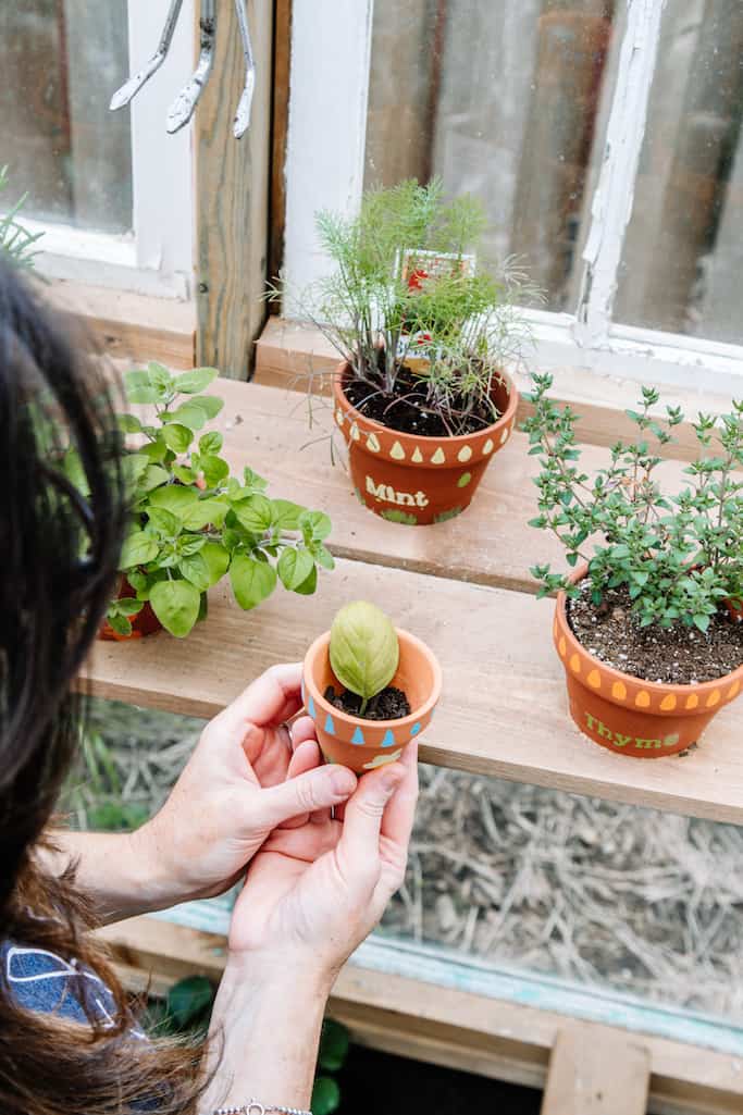 What Is Kitchen Scrap Gardening + How To Get Started?