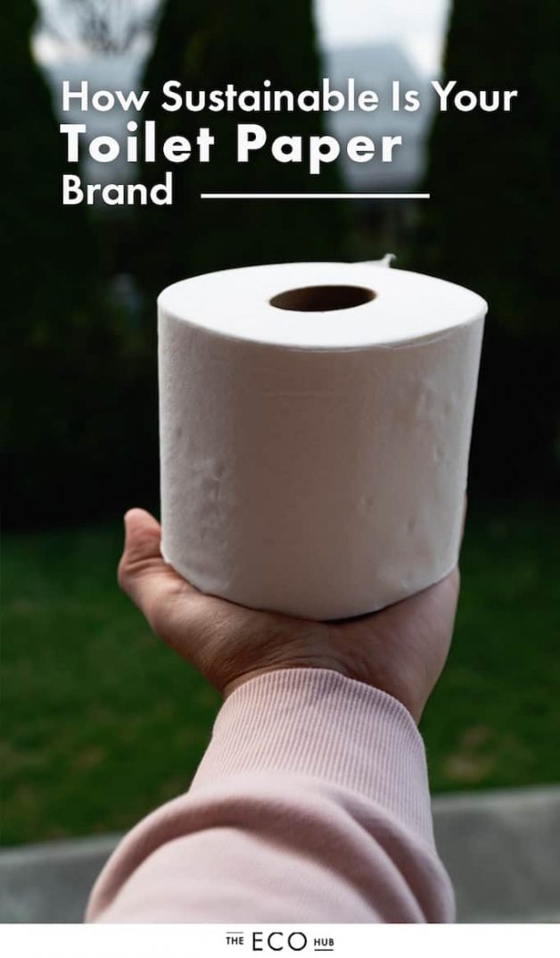 How Sustainable Is Your Toilet Paper Brand? - The Eco Hub