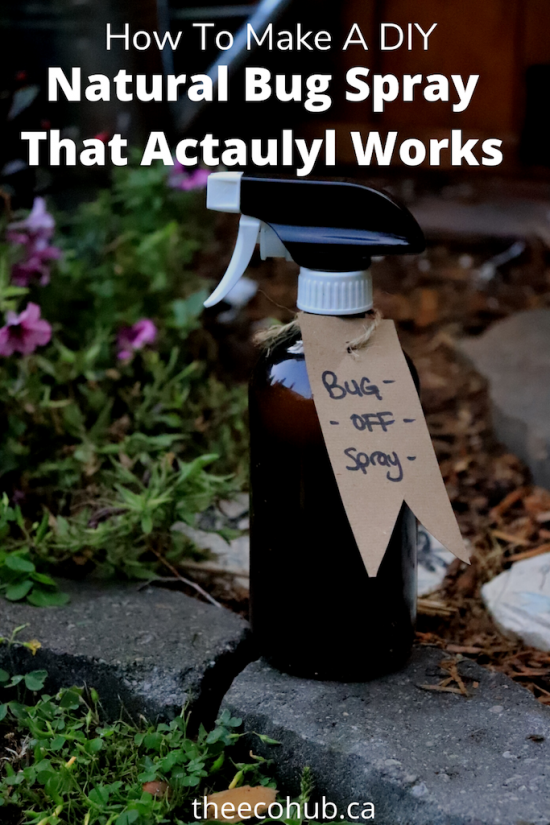 DIY Natural Bug Spray Recipe - The Eco Hub