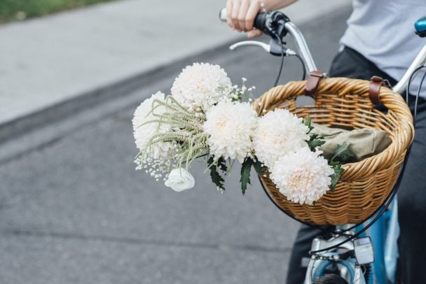 What Does It Mean To Go Green And Why You Should Make The Change! - The ...