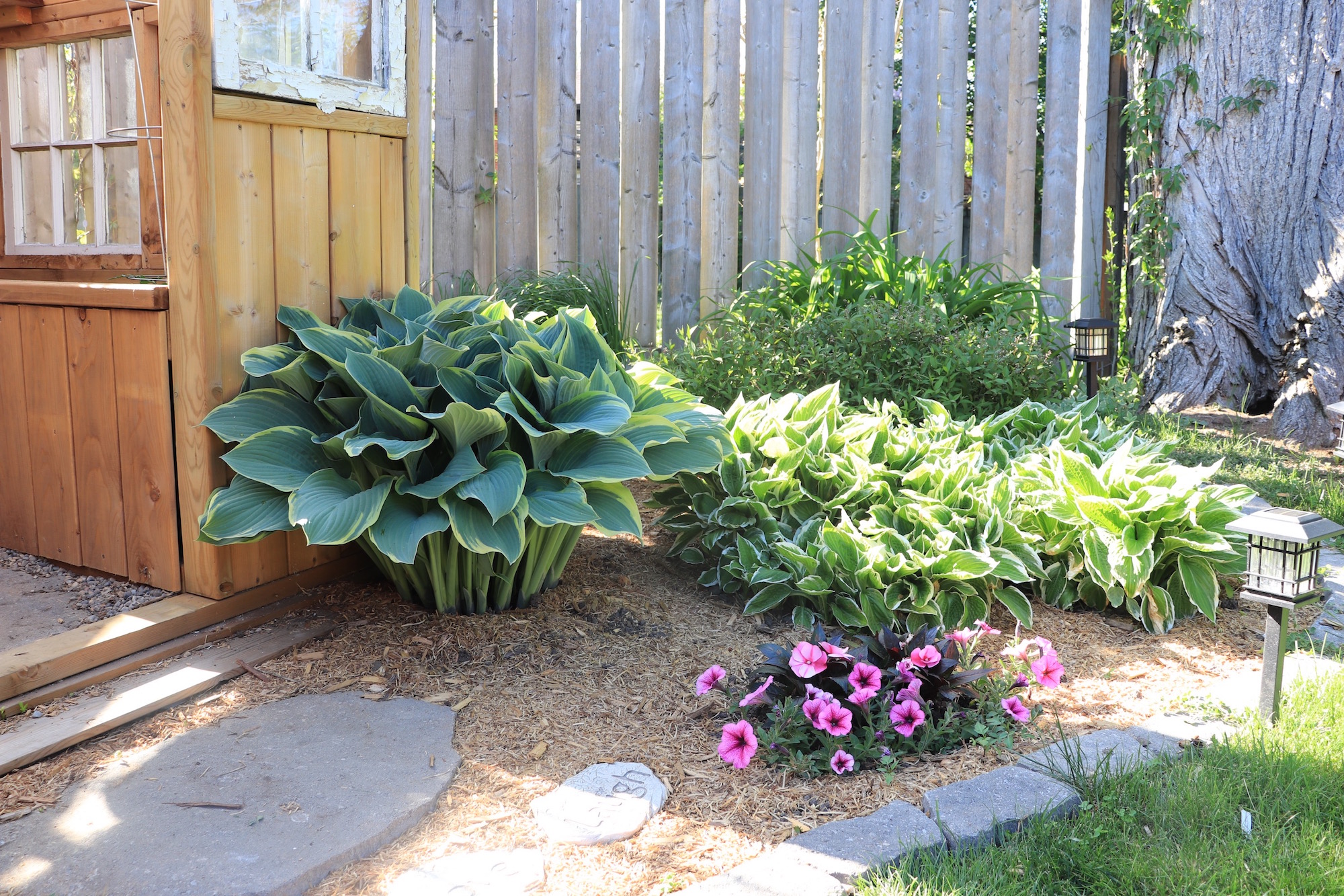 How to increase biodiversity at home! With your own backyard ecosystem ...