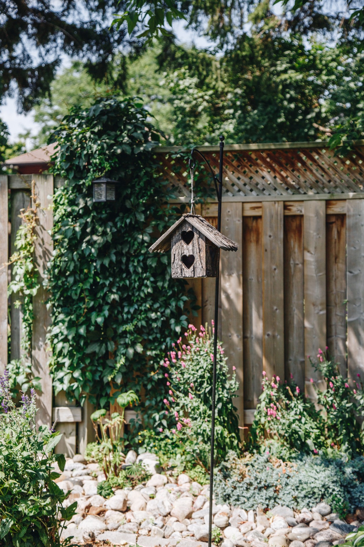 How to increase biodiversity at home! With your own backyard ecosystem ...