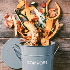What's Not Compostable At Home: 20+ Things To Avoid! - The Eco Hub