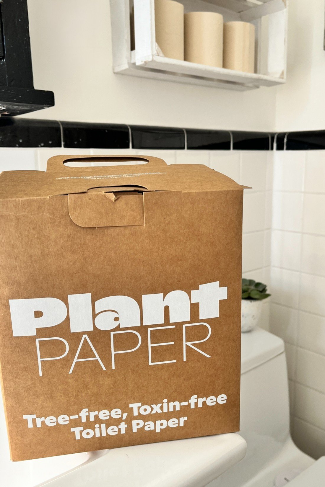 What's The Best Eco Friendly Toilet Paper? - The Eco Hub