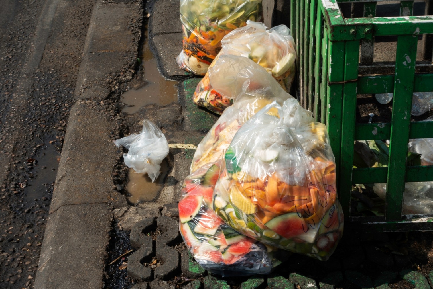 Stop Food Waste With These 9 Plastic Free Food Storage Containers - The ...