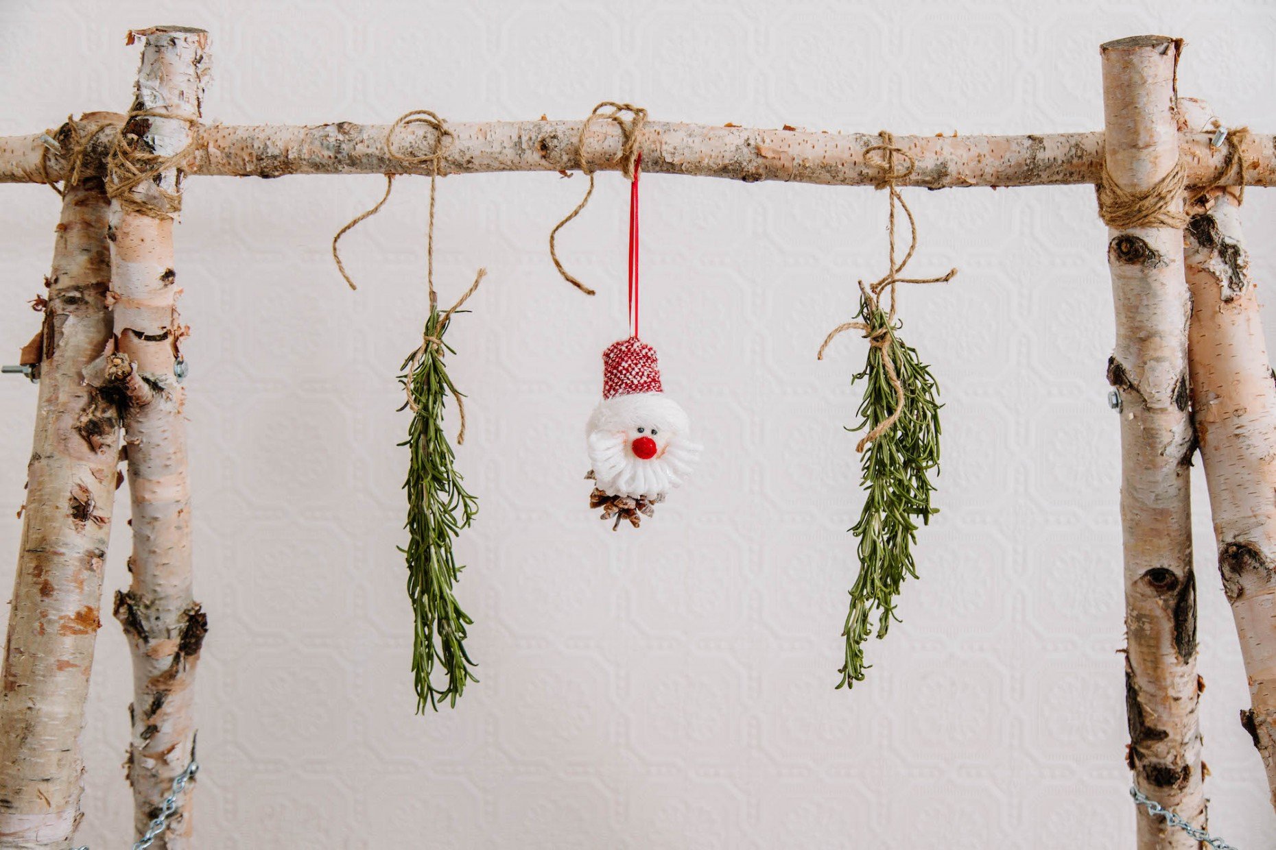 How to Choose an Eco Friendly Christmas Tree - The Eco Hub