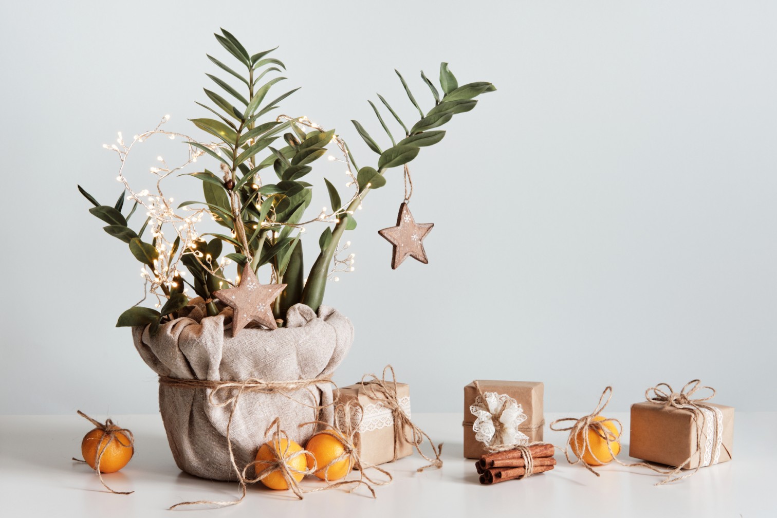 How to Choose an Eco Friendly Christmas Tree - The Eco Hub