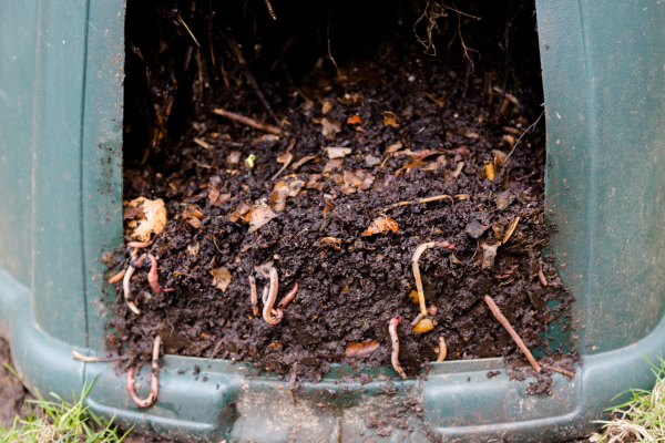 15 Amazing Composting Facts You Didn't Know - The Eco Hub