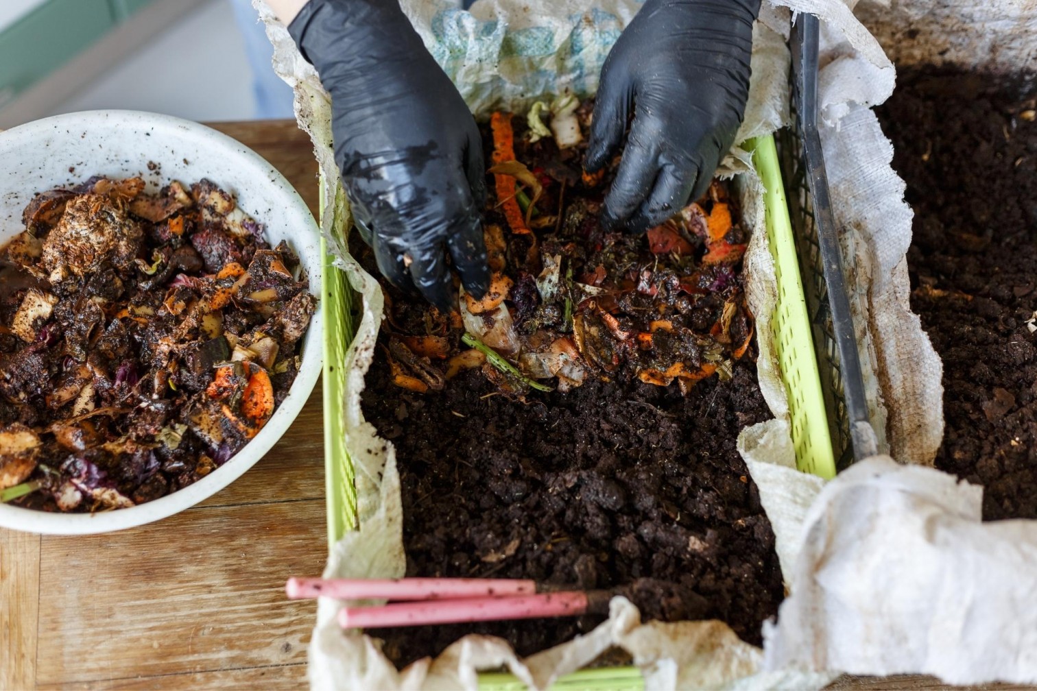 What Do Worms Eat, Everything You Need To Know - The Eco Hub