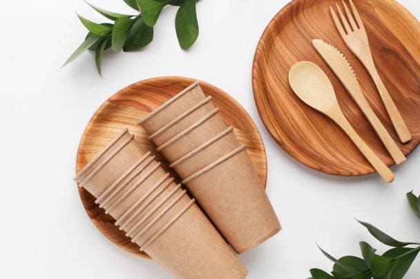 Can You Recycle Paper Plates? The Answer May Surprise You! - The Eco Hub