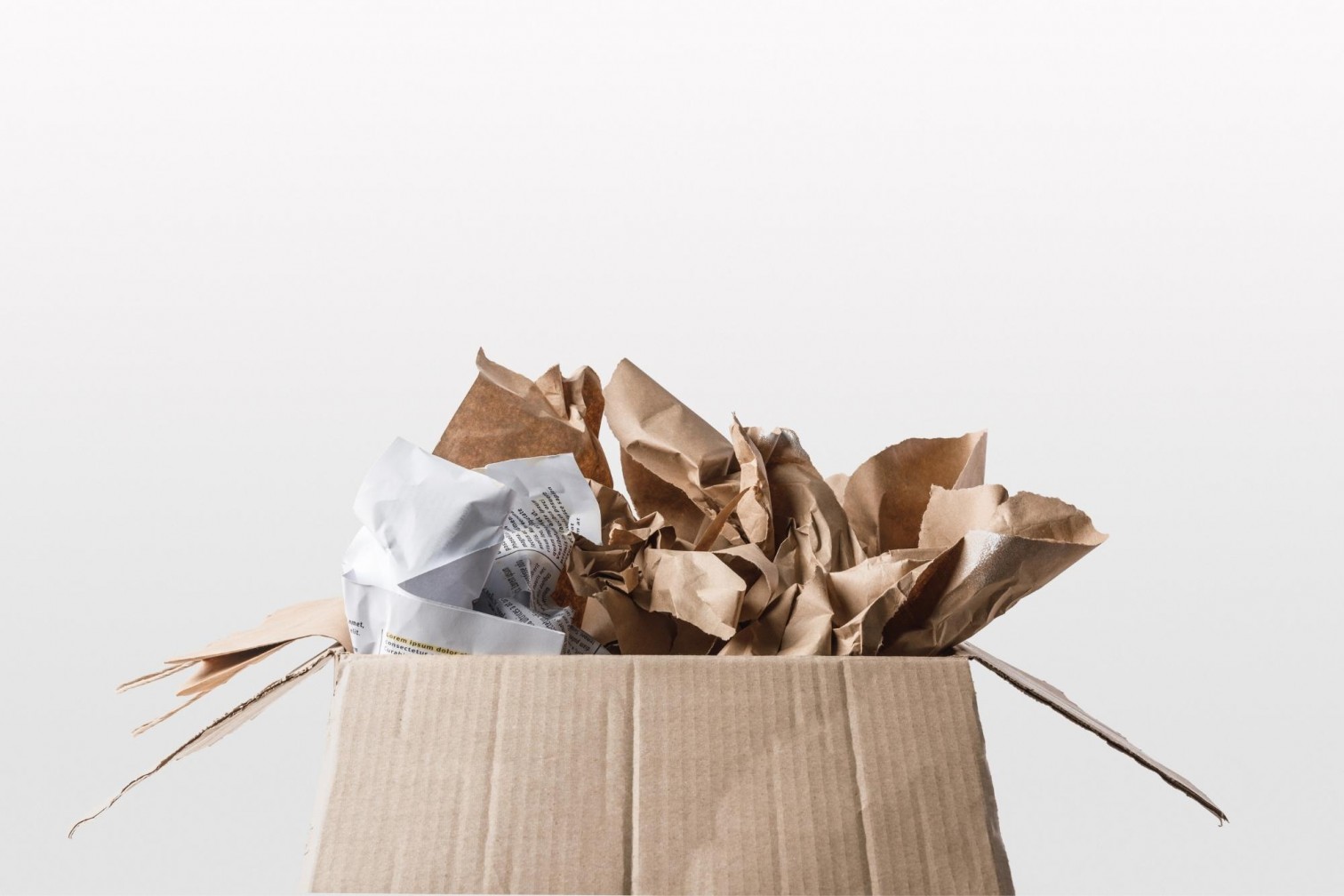 How To Compost Paper Of All Kinds! - The Eco Hub