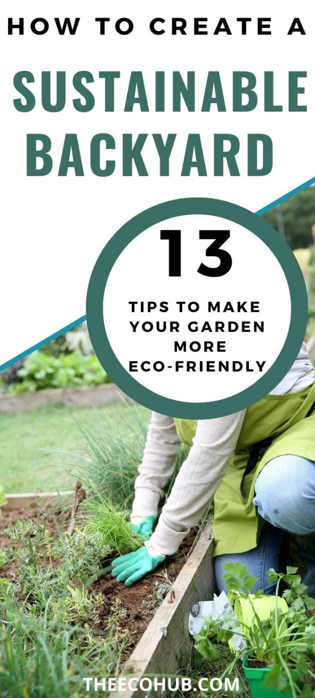 How To Create A Sustainable Backyard - The Eco Hub