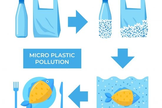 Do You Know How To Avoid Microplastics In Food? - The Eco Hub