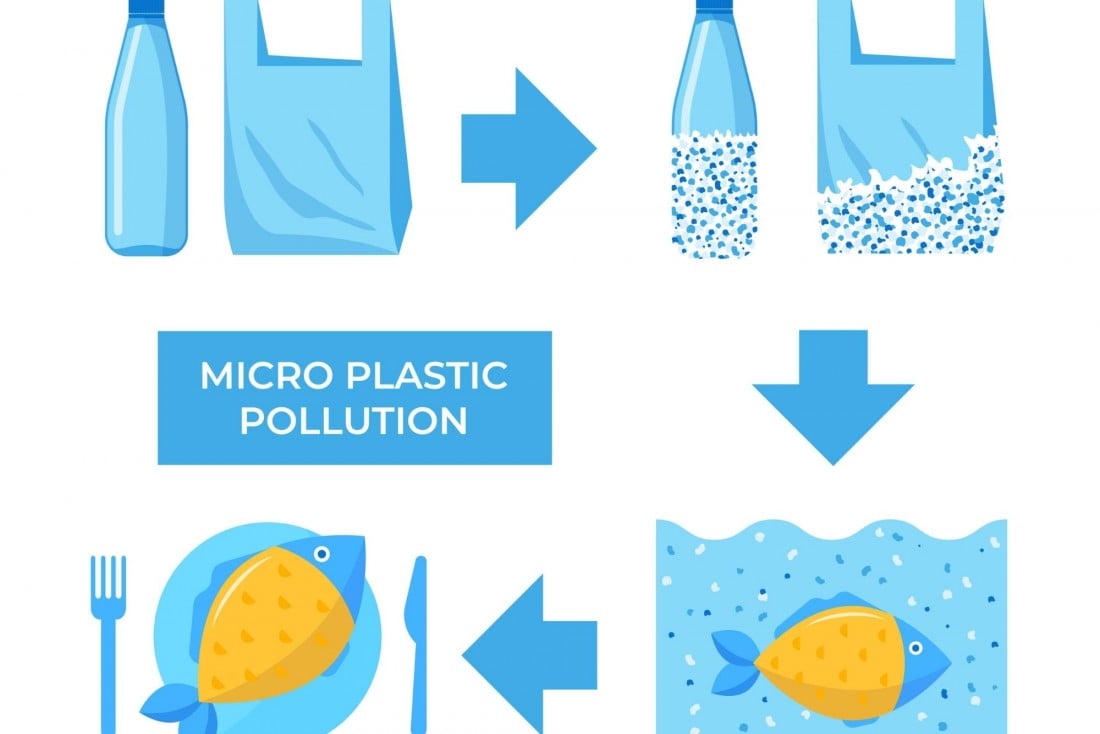 Do You Know How To Avoid Microplastics In Food? - The Eco Hub