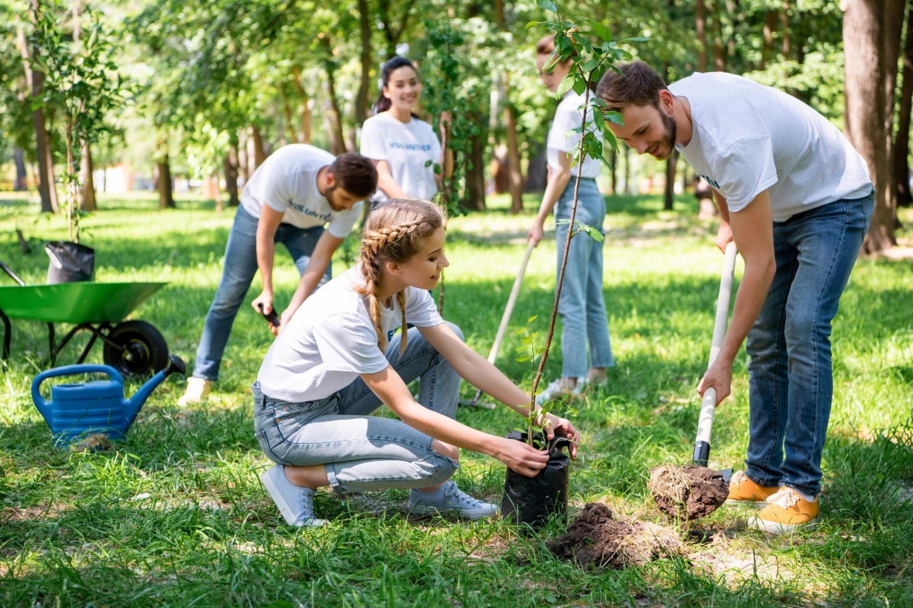 Sustainable Interior Design 101! - The Eco Hub