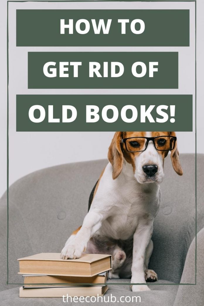 What To Do With Old Books? Sell, Donate, Recycle - The Eco Hub