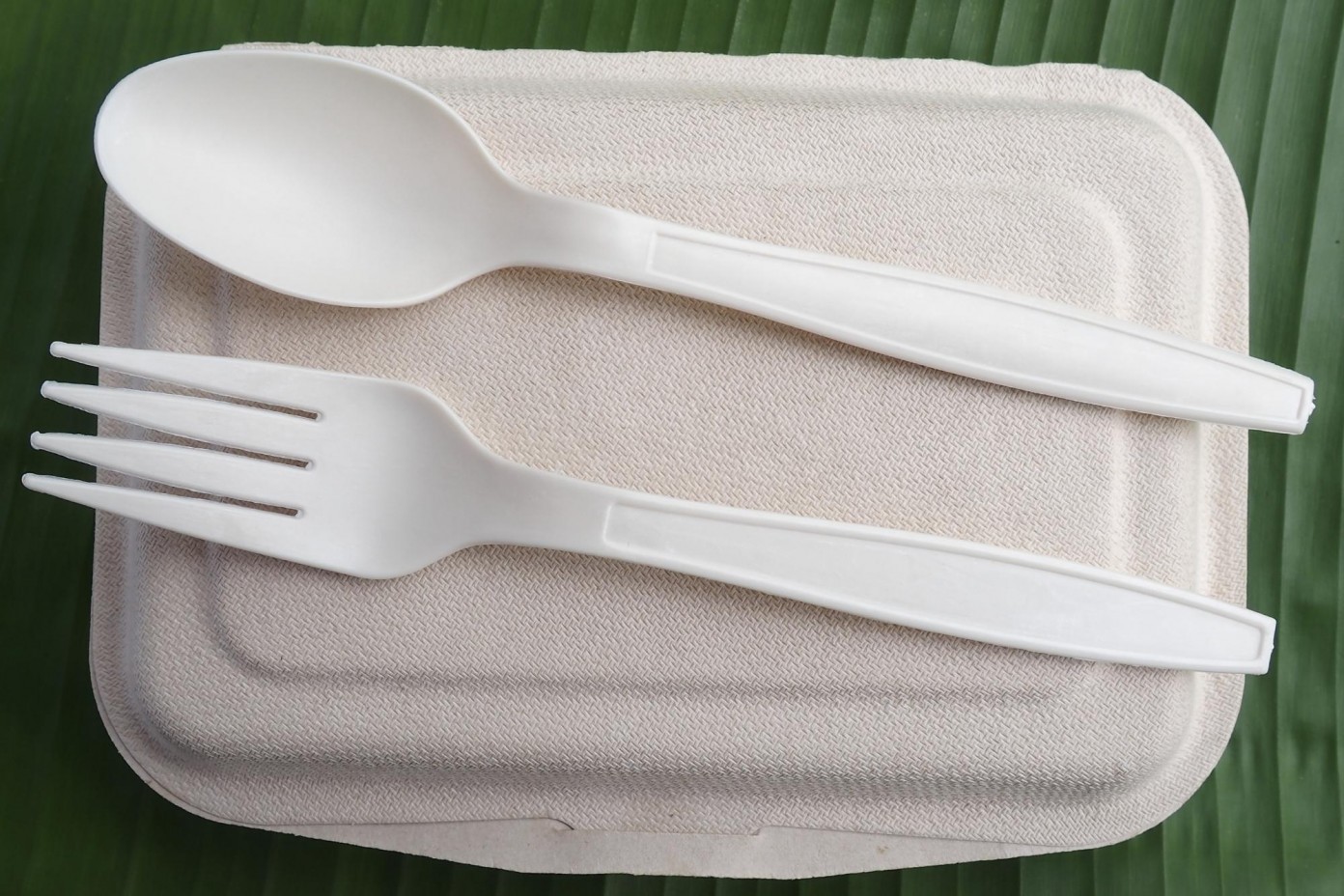 Bioplastic Vs Plastic, Which Is The Better Choice? - The Eco Hub