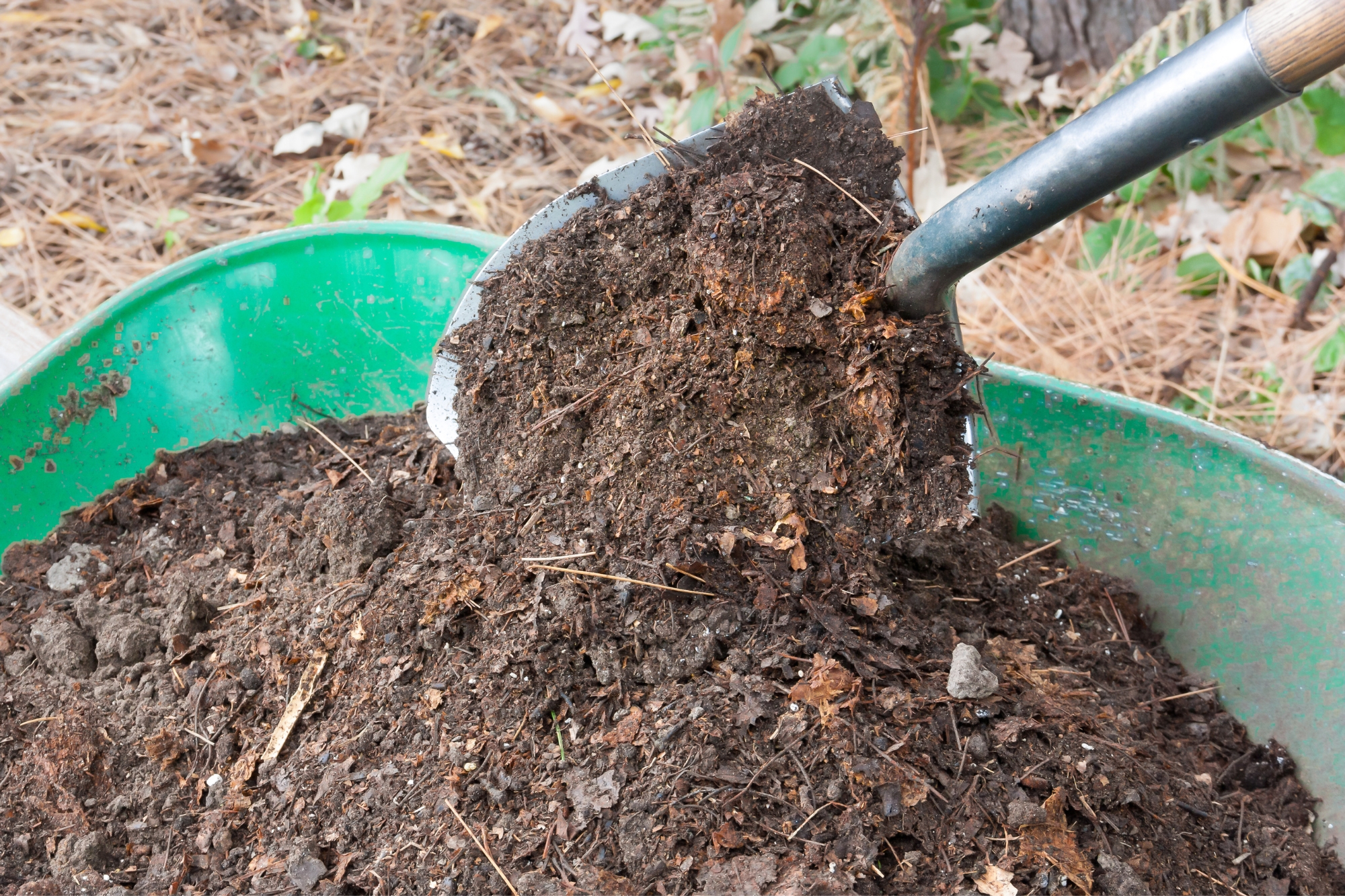What Is Mushroom Compost? - The Eco Hub