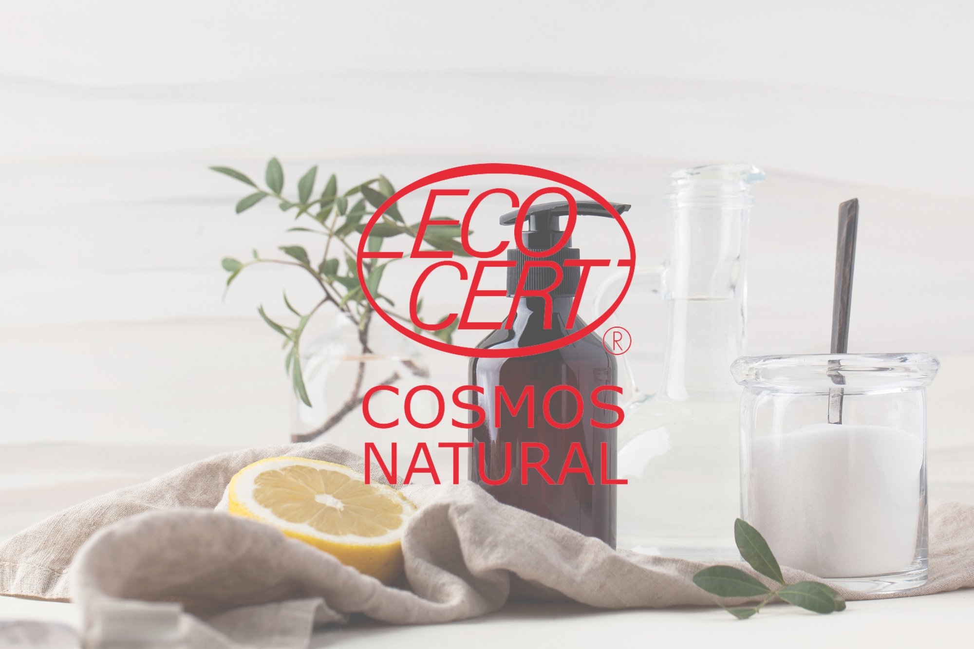 What Is Ecocert Certification? Is It Trustworthy? - The Eco Hub