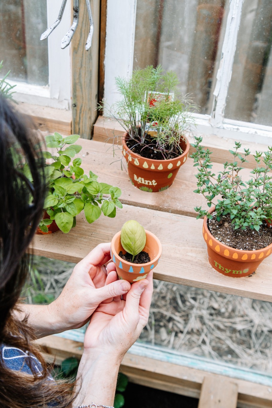 The Definitive Guide to Eco Friendly Landscaping - The Eco Hub